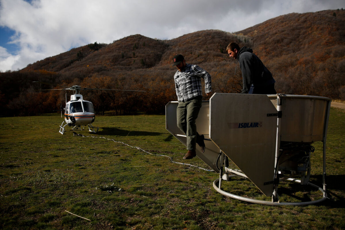 Helicopter drops seed mix on scorched aftermath of Wheeler Fire | News ...